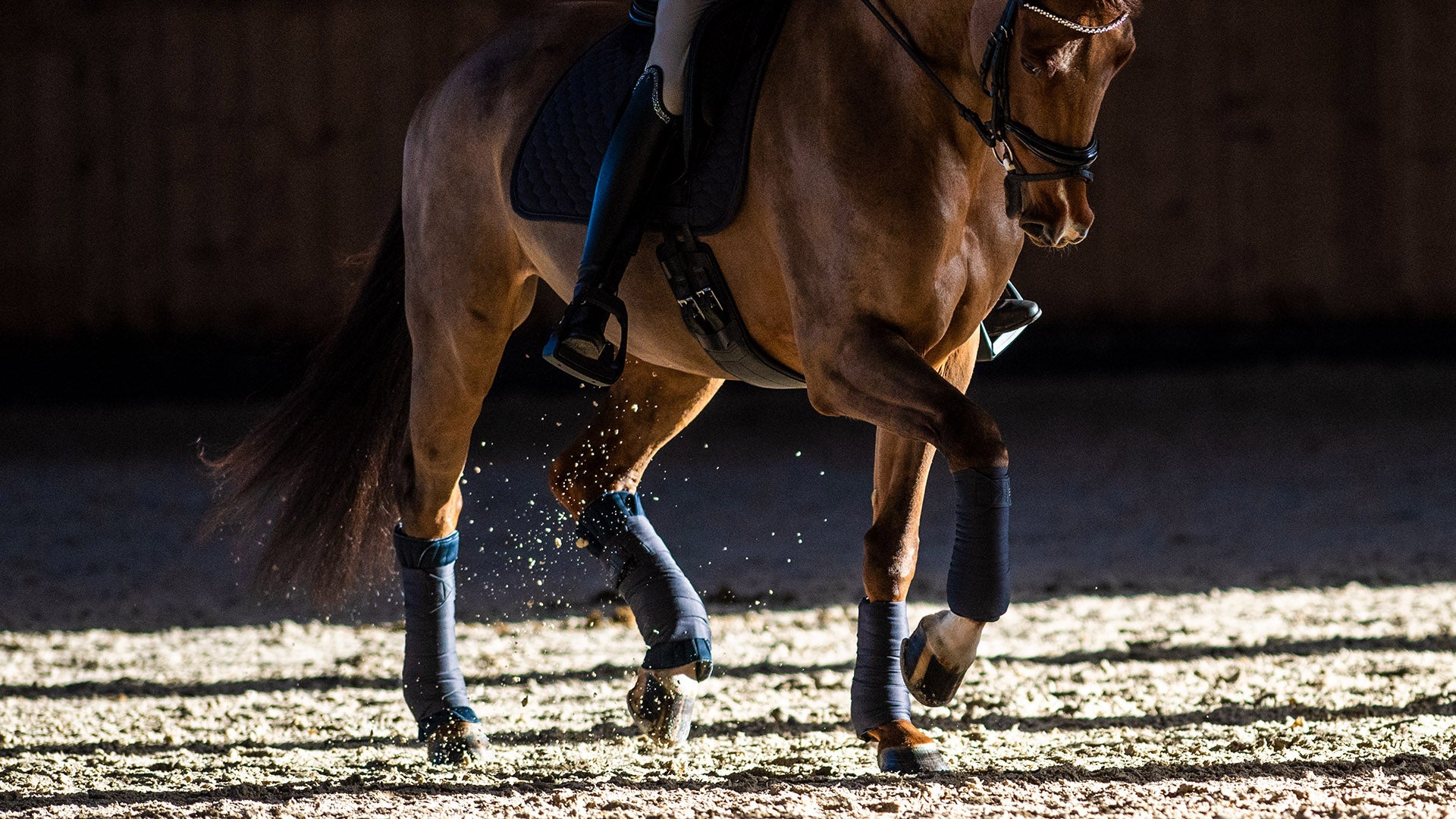 Piaffe - Dressage Lifestyle – Piaffe Dressage Lifestyle