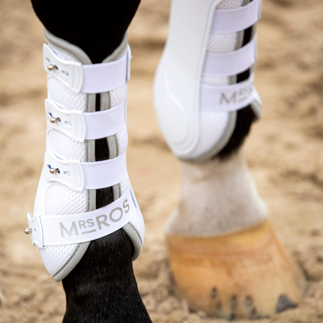 Air Flex Tendon Boots - Performance White – Piaffe Dressage Lifestyle