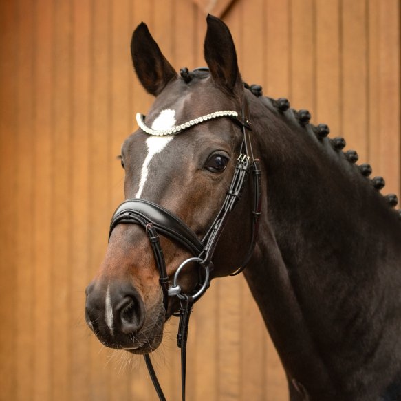 Piaffe - Dressage Lifestyle